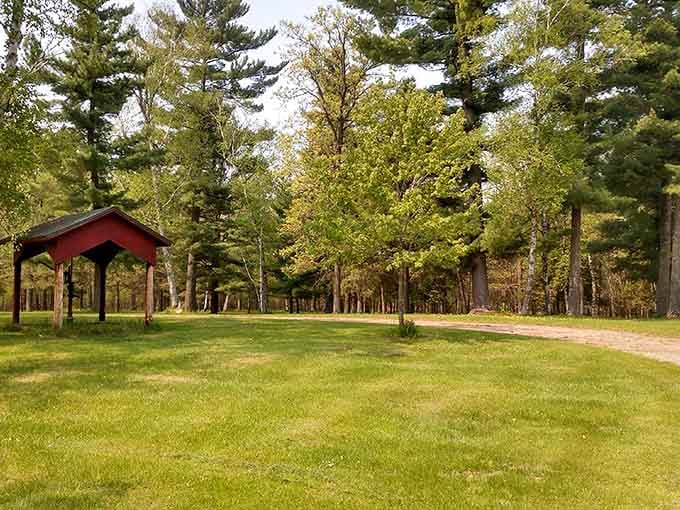 Black's Grove Park delivers that perfect Minnesota forest bathing experience—where the air smells like pine, possibility, and not a single notification from your phone.