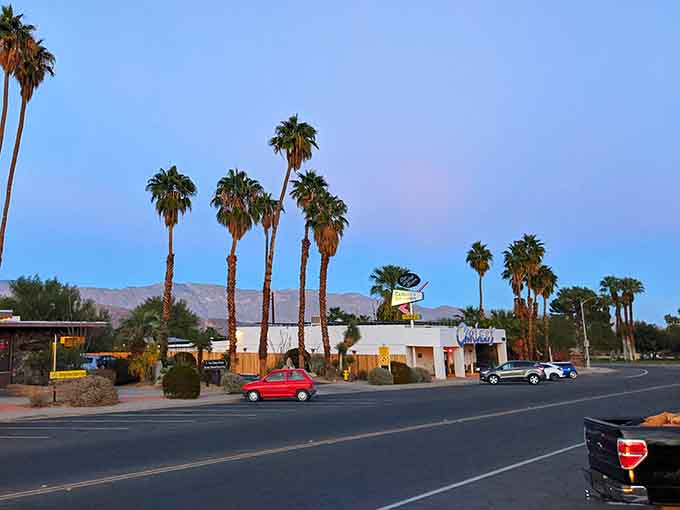Golden hour turns the palm trees into silhouettes and reminds you why people fall in love with small towns.