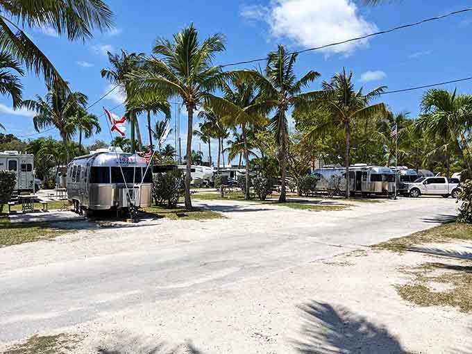 Palm-lined pathways between sites create a tropical neighborhood where everyone's on permanent vacation mode together.
