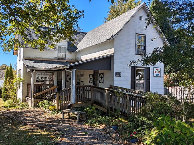 The Transylvania Heritage Museum occupies a charming historic building where local history gets the respect it deserves without the stuffiness.