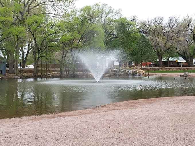 Veterans Park's fountain creates a peaceful oasis perfect for afternoon strolls and quiet reflection.