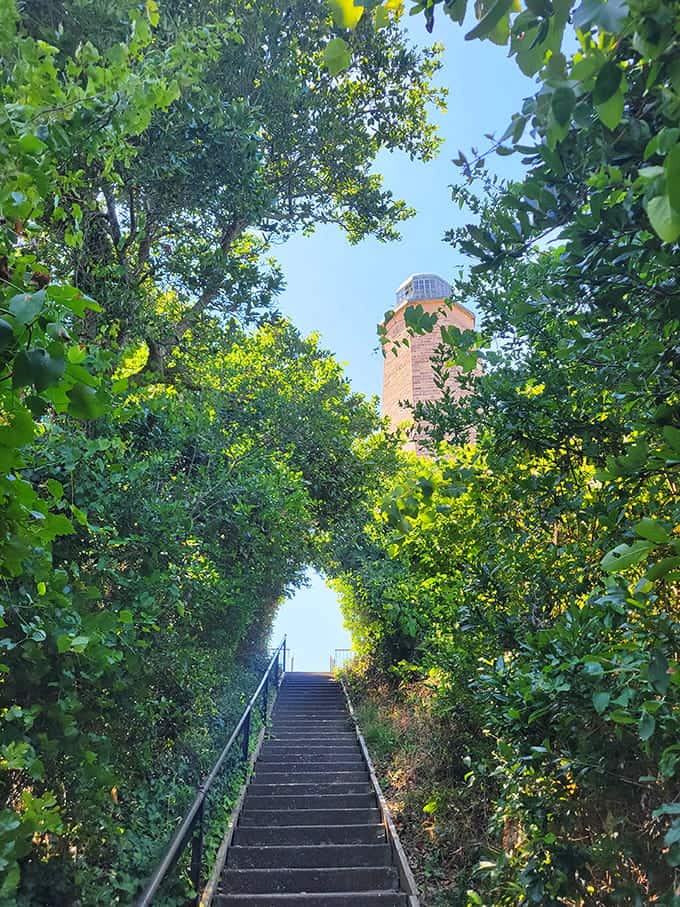 These stairs through the greenery are your gateway to history, leading up to a climb you'll remember forever.