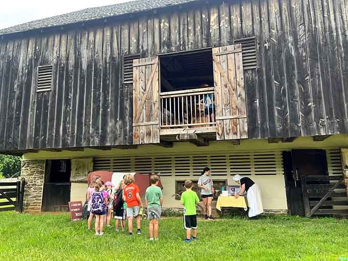 Nothing beats watching the next generation discover that barns are way cooler than any video game level.