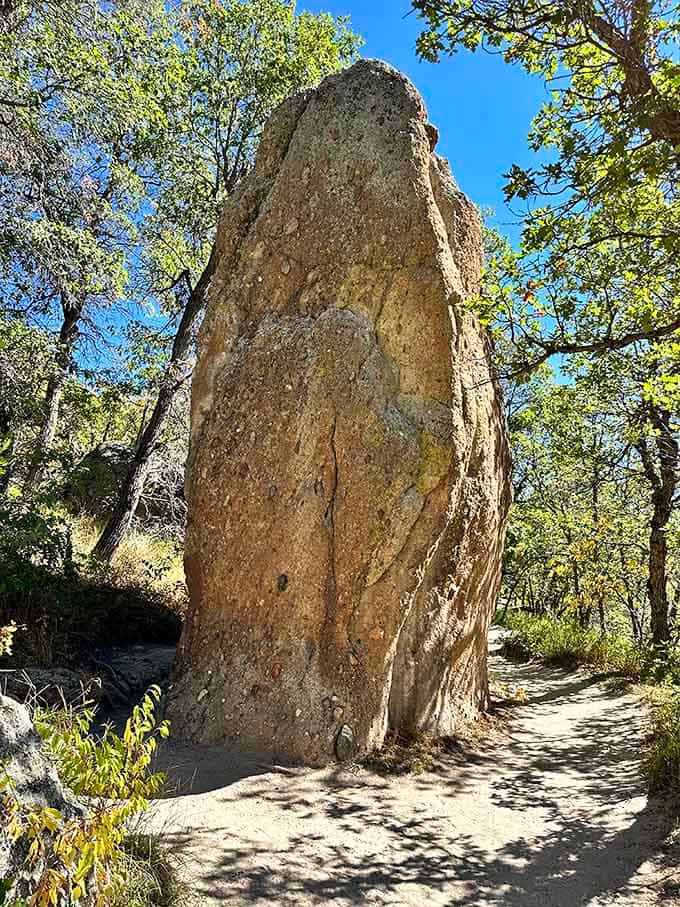 This towering rock formation looks like nature's exclamation point, demanding attention from every passing hiker.