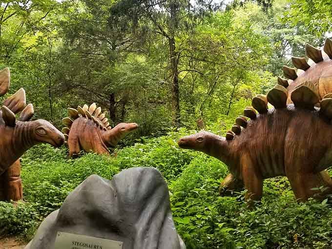Life-sized dinosaurs roam the woods at Dinosaur World, delighting kids who've never seen a Stegosaurus this close before.