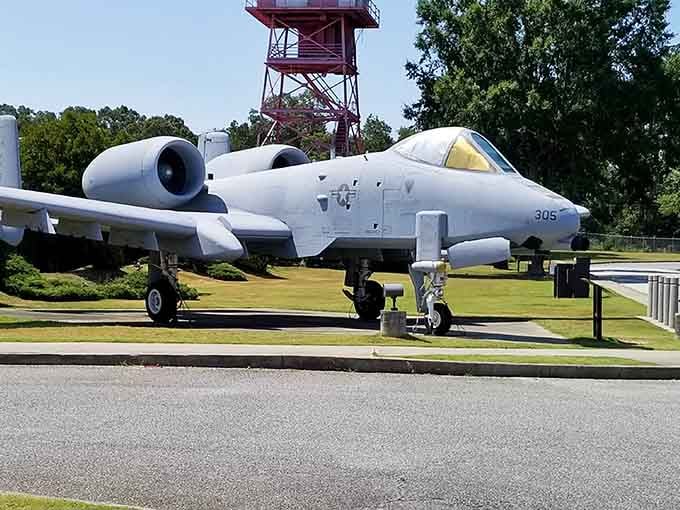 The A-10 Thunderbolt II, affectionately called the Warthog, looks like it could still take on anything that moves.
