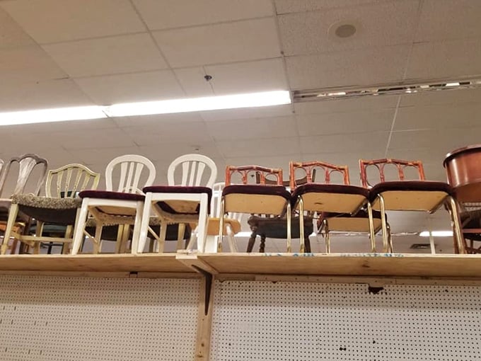Chair lineup that looks like a furniture family reunion. Each with its own personality, waiting for the right home.