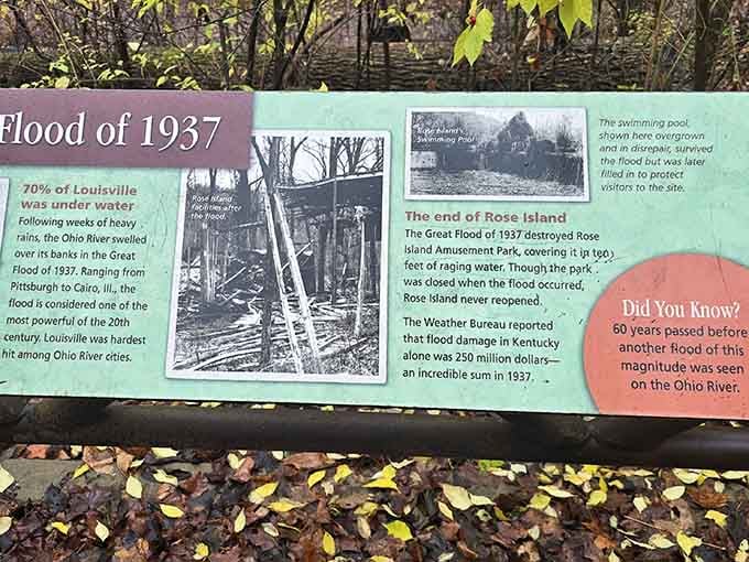 The 1937 flood's story is preserved here, reminding us that nature always writes the final chapter in bold strokes.