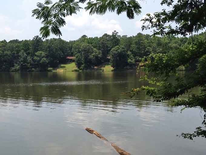 The lake sits there looking peaceful, completely unaware it's about to host another summer of cannonballs.