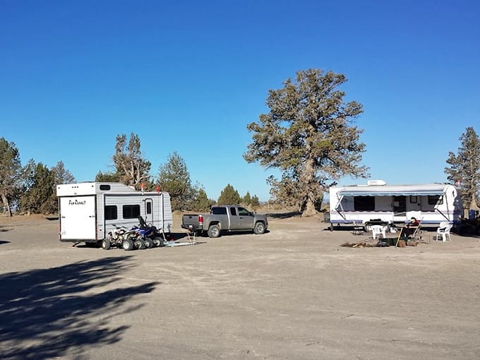RVs and campers settle in for the night under towering pines at the dunes' edge campground.