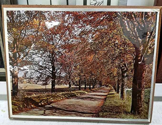 This peaceful pathway print is waiting to bring serenity to someone's wall, no museum admission required for this art.