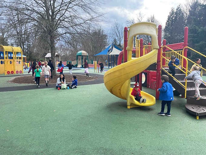 Slides in every speed and style ensure there's something for the cautious and the fearless alike.