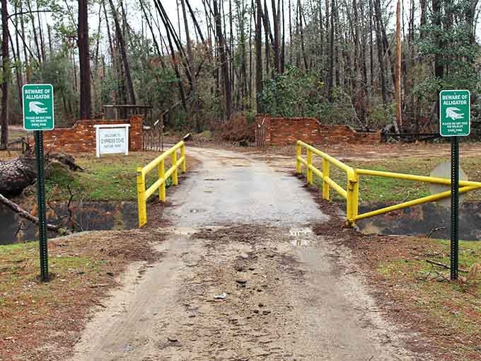 Cypress Cove Nature Park's boat ramp leads to adventures that won't require a second mortgage to enjoy.