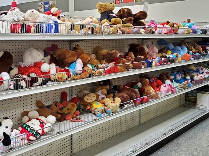 Stuffed animals await their second chance at childhood, lined up like the world's cutest adoption agency.
