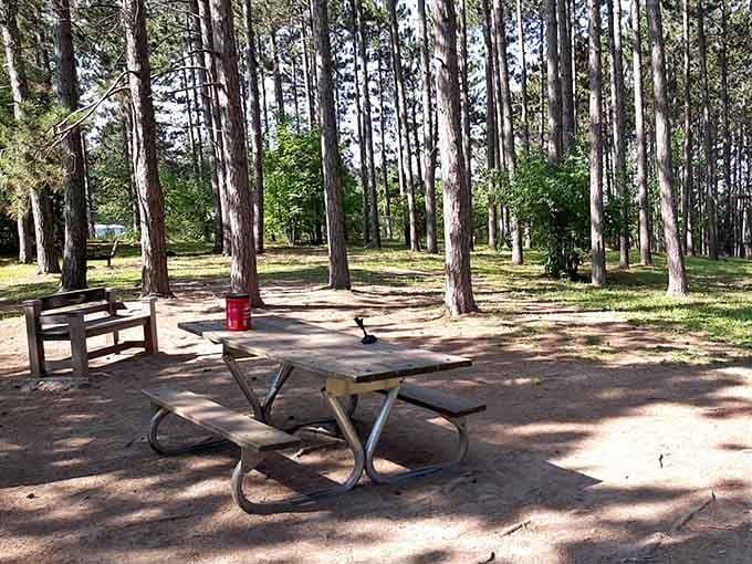 This pine-shaded picnic area invites you to unplug and remember when entertainment didn't require charging cables or software updates.