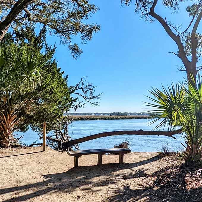 Find your spot under the palms and oaks where the only agenda is watching the water and forgetting your worries.