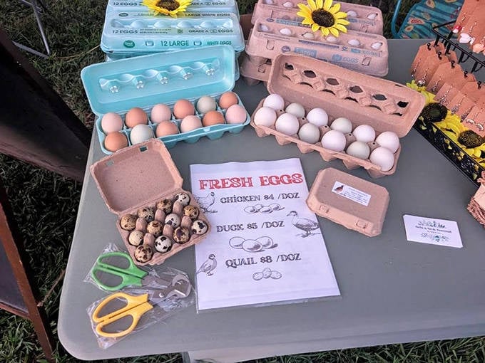 Farm-fresh eggs in technicolor cartons &ndash; the breakfast upgrade that makes store-bought dozens seem like a sad compromise.
