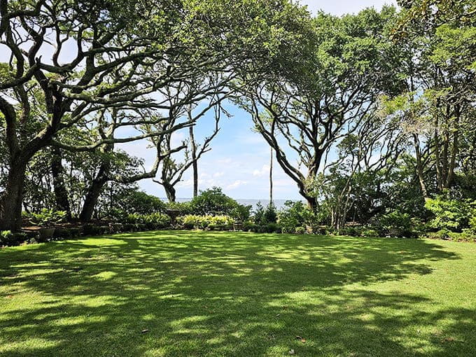 The Great Lawn stretches beneath ancient oaks like the world's most elegant outdoor living room.