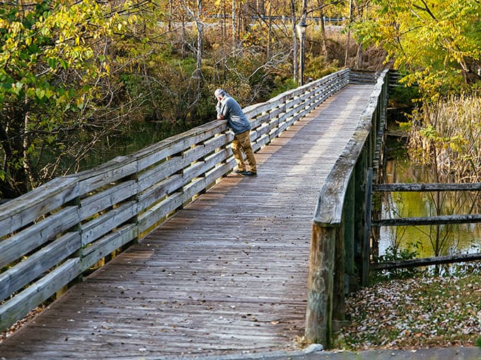 The wooden footbridge over tranquil waters invites contemplation. It's the perfect spot for morning walks where the only rush is from the water below.