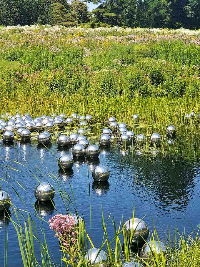 Those metallic spheres floating in the pond create an otherworldly garden art installation worth contemplating.