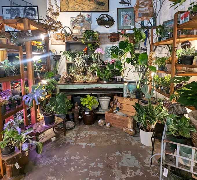 The plant section proves that even vintage markets embrace greenery, because houseplants never go out of style, apparently.