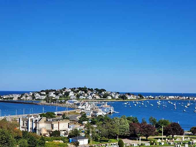 Hull's harbor spreads before you like a postcard that forgot to charge admission, boats bobbing peacefully where warships once patrolled.