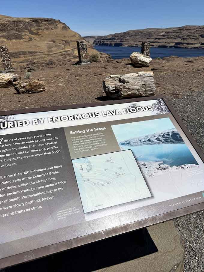 Educational signage that actually makes geology exciting—who knew rocks could be this interesting without being in a tumbler?