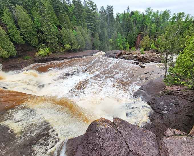 When the Gooseberry River gets this frothy, it's basically nature's cappuccino machine working overtime without electricity.