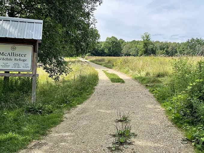 McAllister Wildlife Refuge's gravel paths leading into meadows that look like they're auditioning for a pastoral painting.