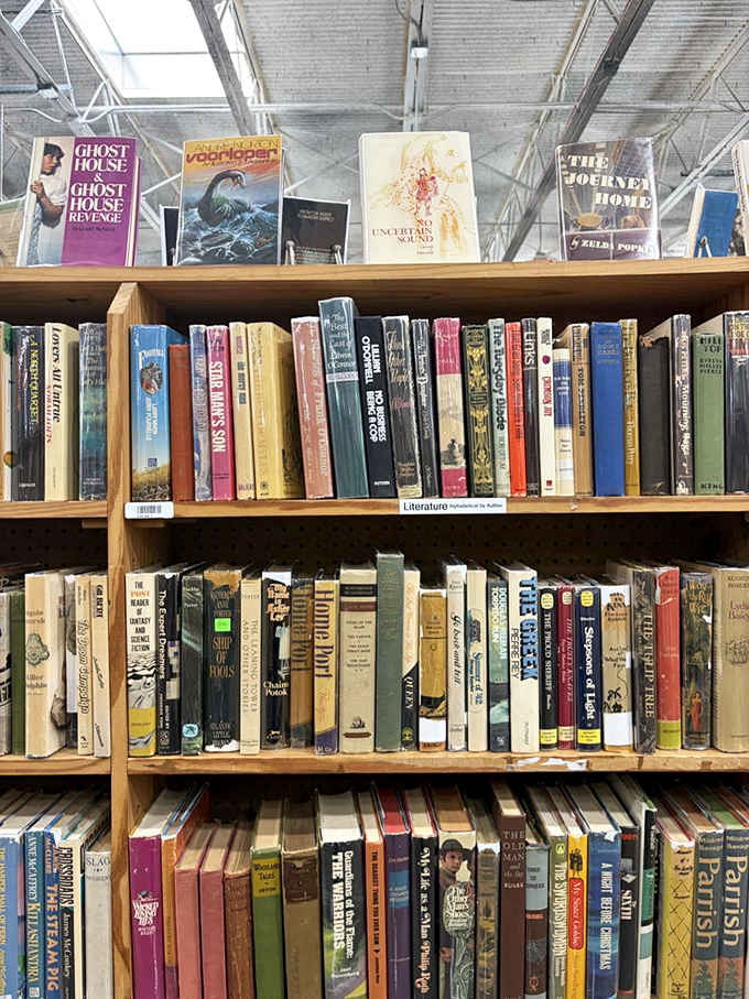 Vintage books with weathered spines hold stories that have survived decades, waiting for their next adventure with you.