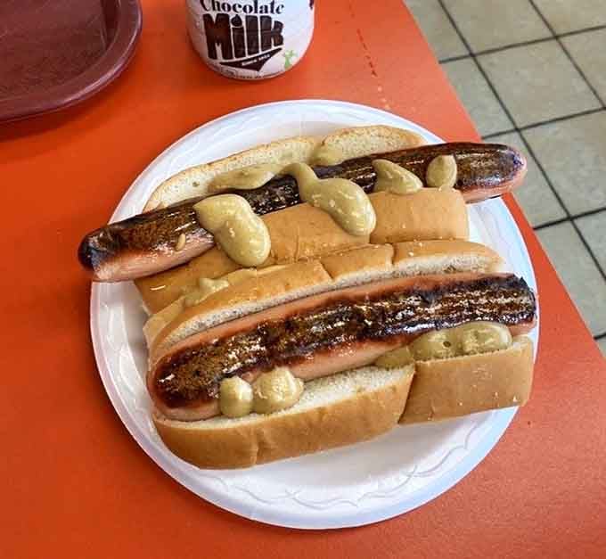 Two hot dogs sitting pretty on their buns, ready to remind you why simple pleasures are often the best pleasures.