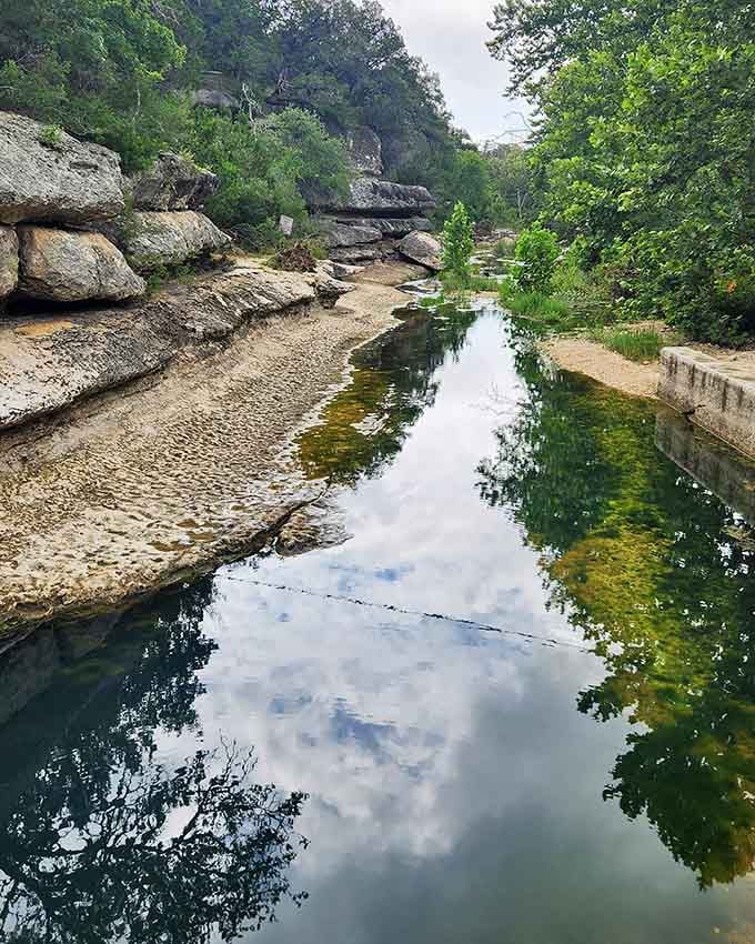 Cypress Creek flows with the kind of clarity that makes you question if water is supposed to look this good.