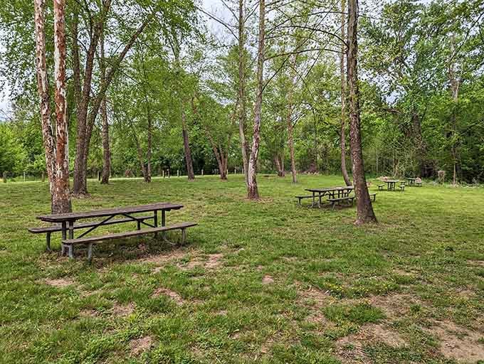 Picnic tables positioned perfectly for contemplating life's big questions, like why we don't do this more often.