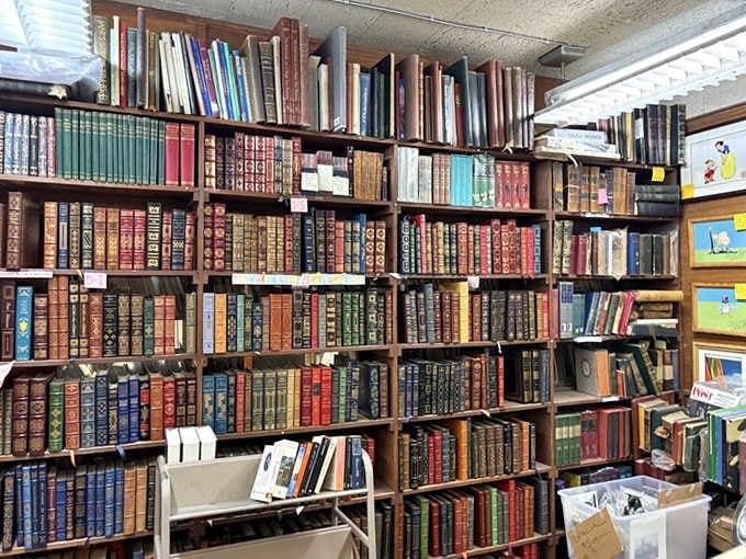Rows of handsome hardbound volumes stand at attention, their colorful spines creating a rainbow of reading possibilities ahead.