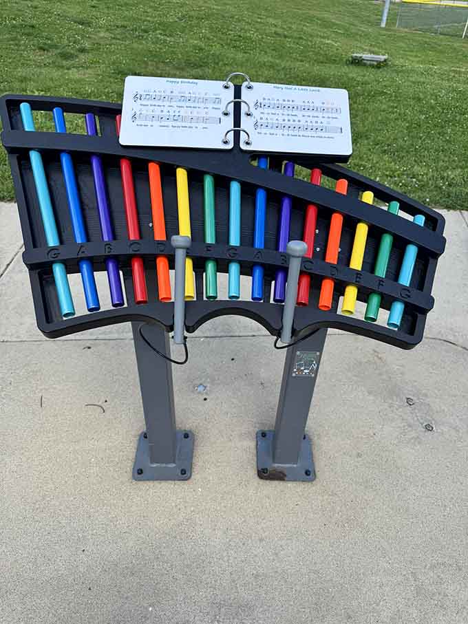 Future Mozart or just making joyful noise? Either way, this outdoor instrument brings music to the playground.
