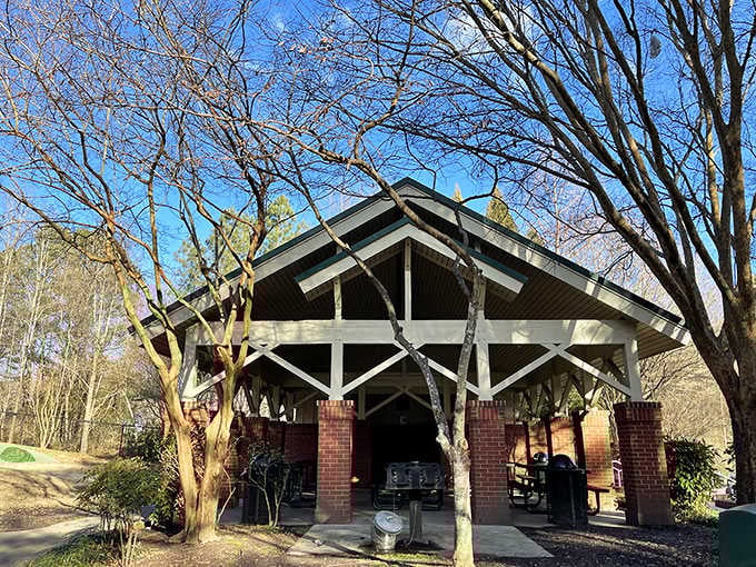 The covered pavilion offers the perfect spot for birthday parties, family gatherings, or just escaping the Carolina sun's enthusiasm.