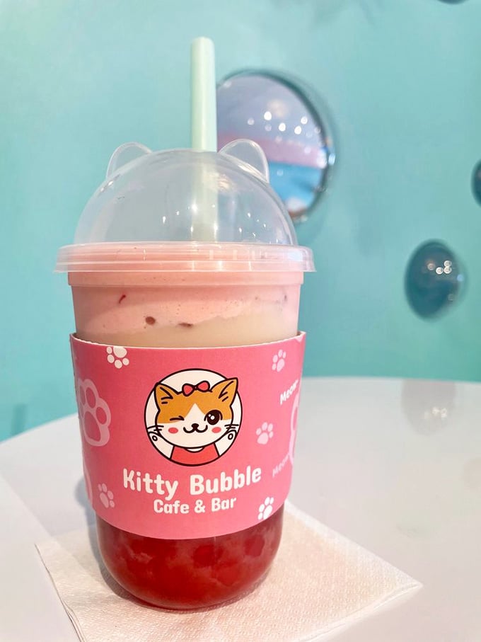 Layered bubble tea perfection with whipped cream that would make any cat jealous of your afternoon treat selection.
