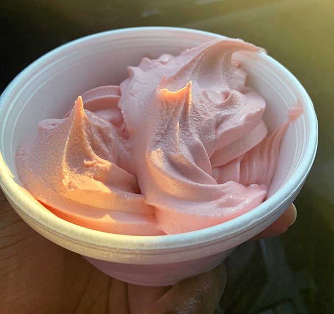 That silky pink custard catches the golden hour light like something out of a food photographer's dream sequence.