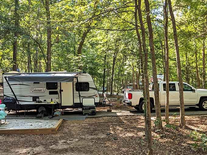 RV camping setups tucked into wooded sites proving that roughing it can include air conditioning and morning coffee makers.