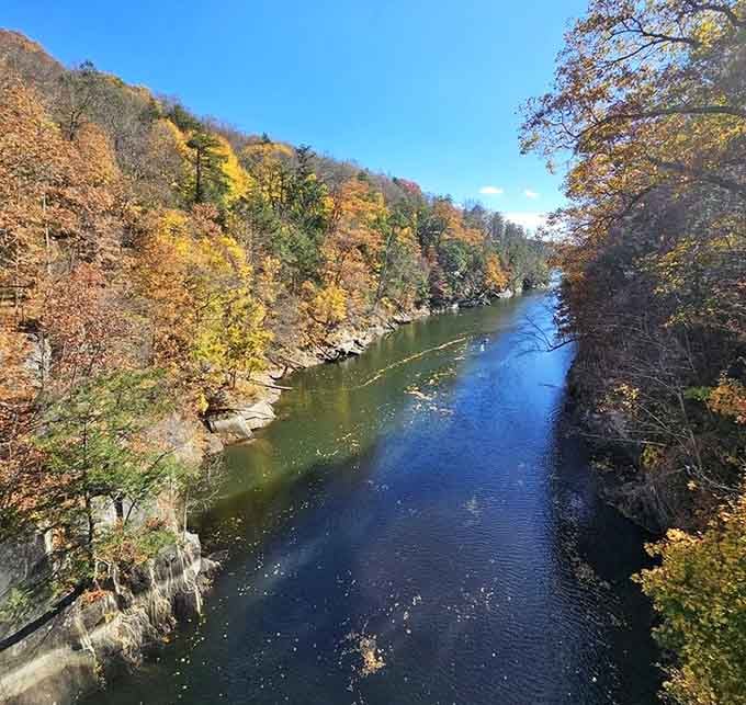 Fall foliage transforms the river valley into a painting that makes Bob Ross look like an underachiever.