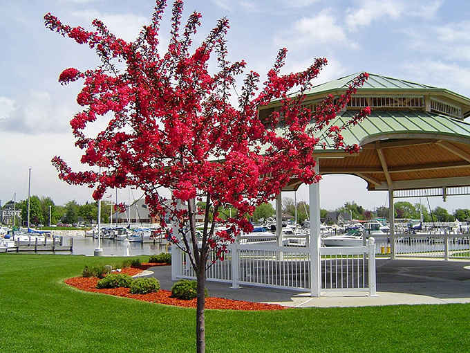 That pavilion overlooking the harbor is basically nature's way of saying "sit down and enjoy the view already."