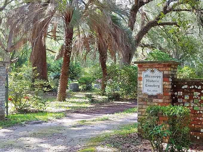 The Historic Cemetery sits peacefully under ancient trees, offering perspective that modern life desperately needs.