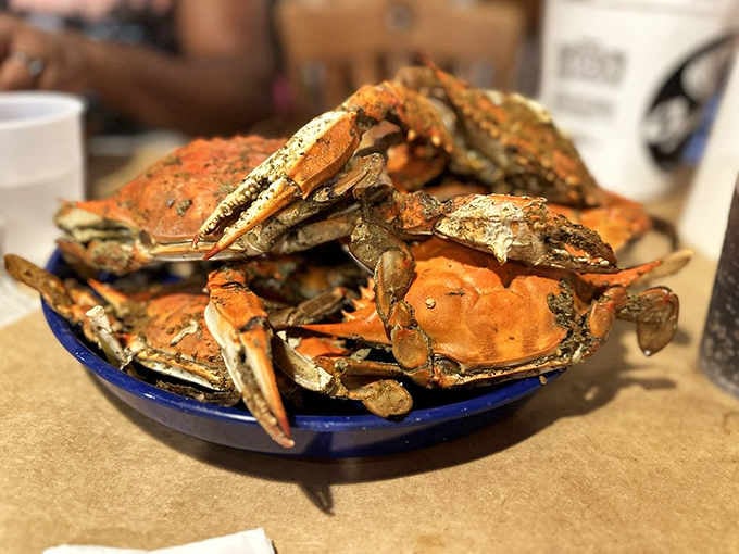 Steamed crabs piled high and dusted with Old Bay, the way Maryland intended it to be.