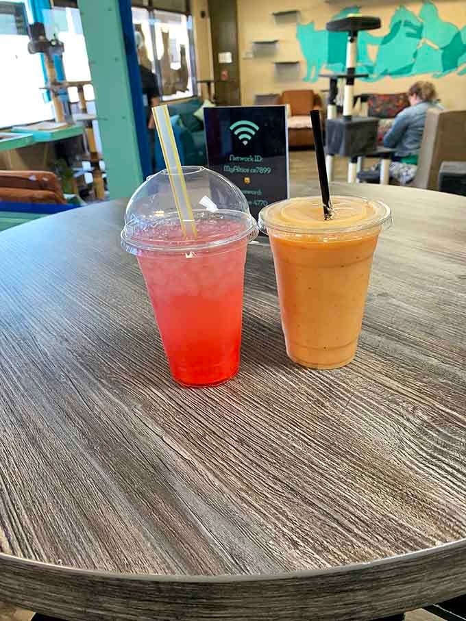 Refreshing drinks on the table, because proper hydration is essential when you're engaged in the serious business of feline friendship.