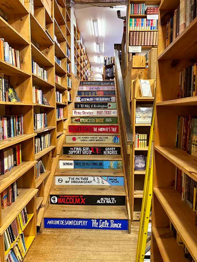 Book spines decorate the staircase risers like the world's most intellectual climbing challenge, leading you to even more literary discoveries upstairs.