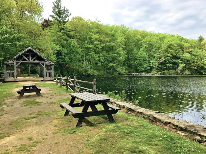Picnic tables overlook the water where lunch tastes better simply because you're not eating at your desk again.