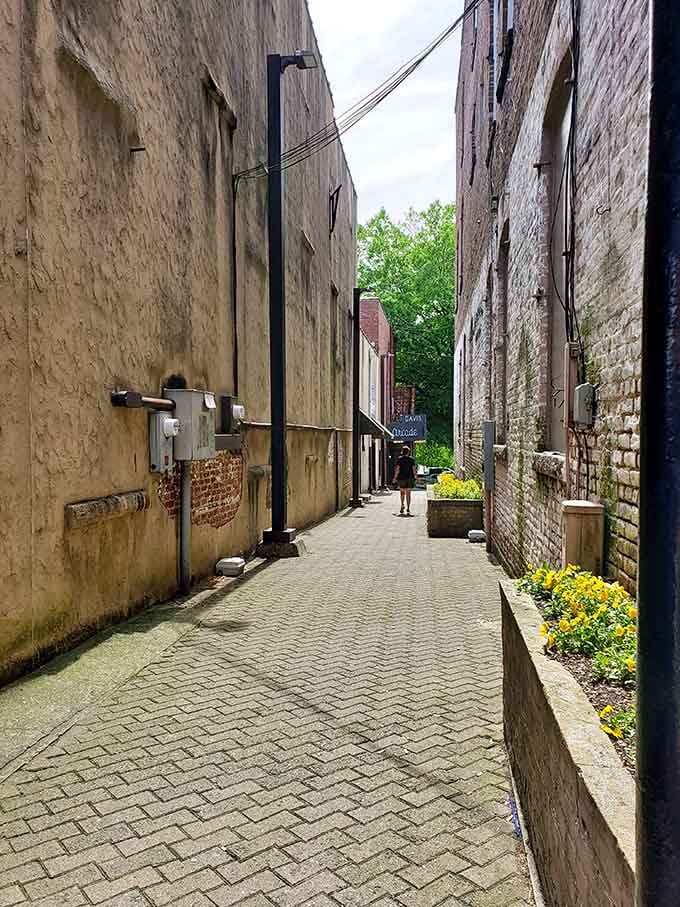 Hidden alleyways like this one prove that Mount Airy's charm extends beyond the main drag into every corner.