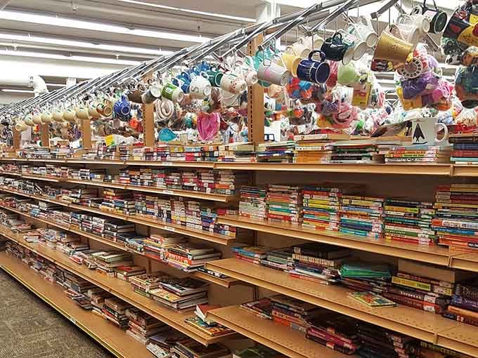Books and stuffed animals share shelf space, creating the coziest corner for literary and cuddly discoveries alike.