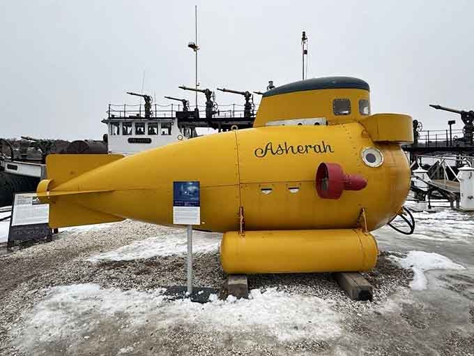 Yes, that's a bright yellow submarine named Asherah, and no, the Beatles references never get old around here.