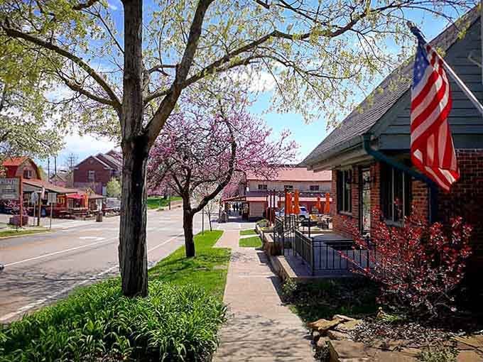 Spring transforms Nashville's streets into a postcard that practically writes itself with blooming trees everywhere.